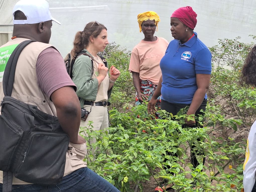MOPADASL - Movement Towards Peace and Development Agency Sierra Leone